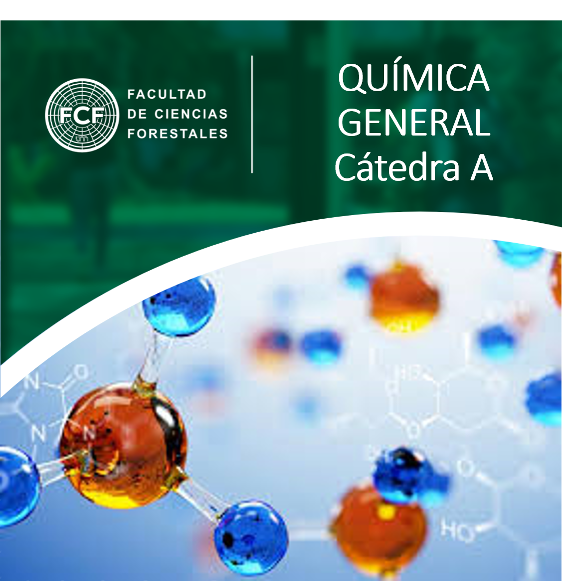 Campus VIrtual FCF: Categorías del curso