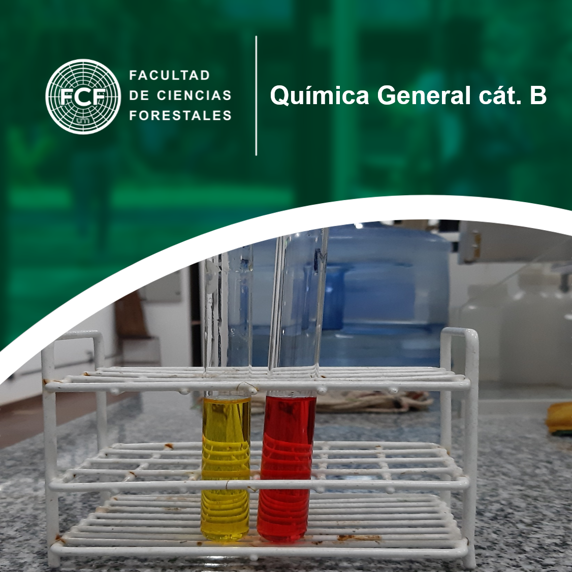 Campus VIrtual FCF: Categorías del curso